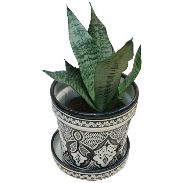 SAFI planter large BLACK – atelierBOEMIA